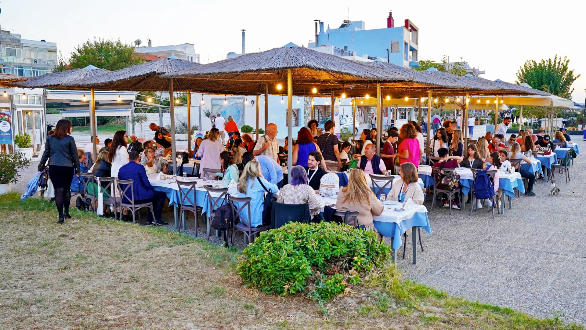 Photo Gallery - KGL Contest